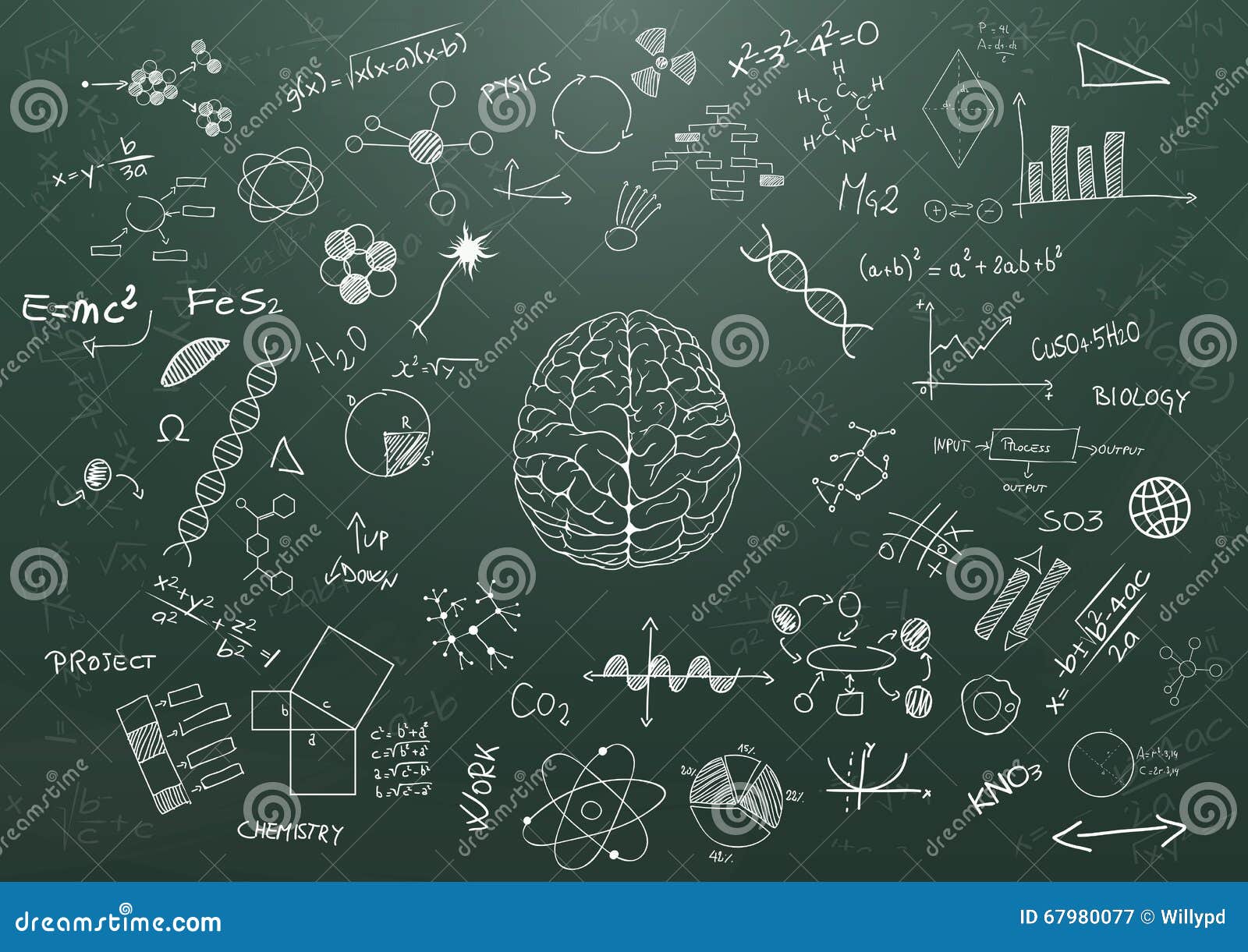 Brain science chalkboard stock illustration. Illustration of atom ...