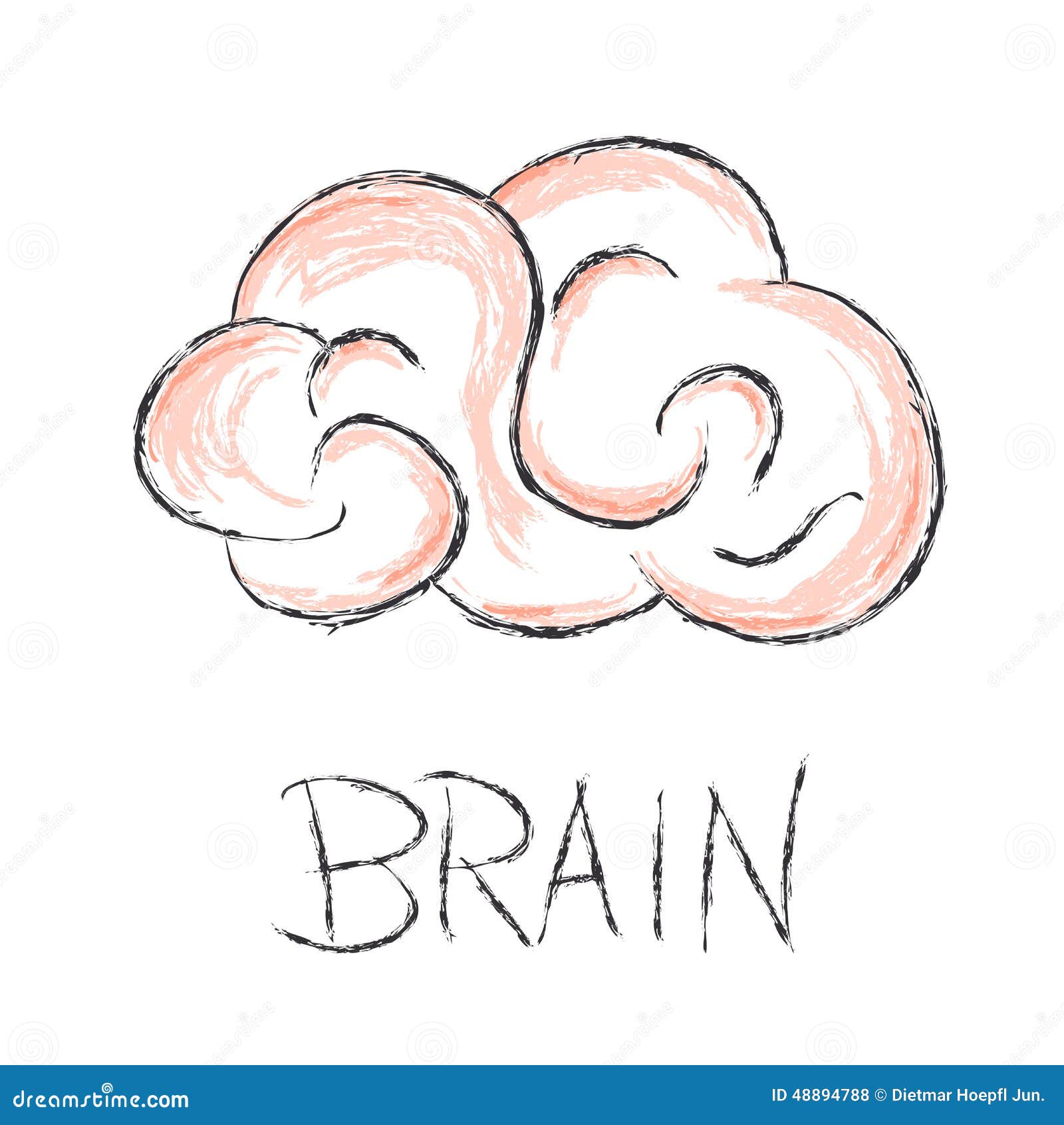 Brain Scribble Vector Illustration Stock Vector - Illustration of clip ...
