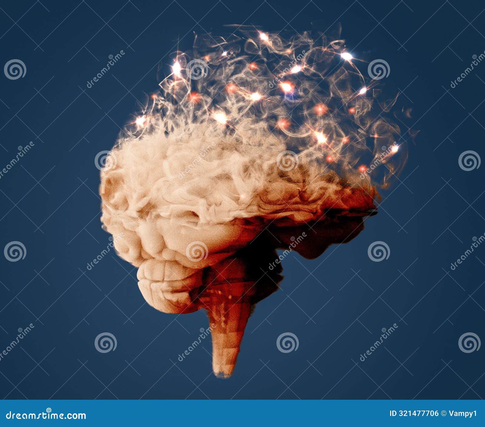 Brain Seen From The Side. Memory Lapses. Brain Degenerative Diseases ... Brain Seen From The Side. Memory Lapses. Brain Degenerative Diseases ...