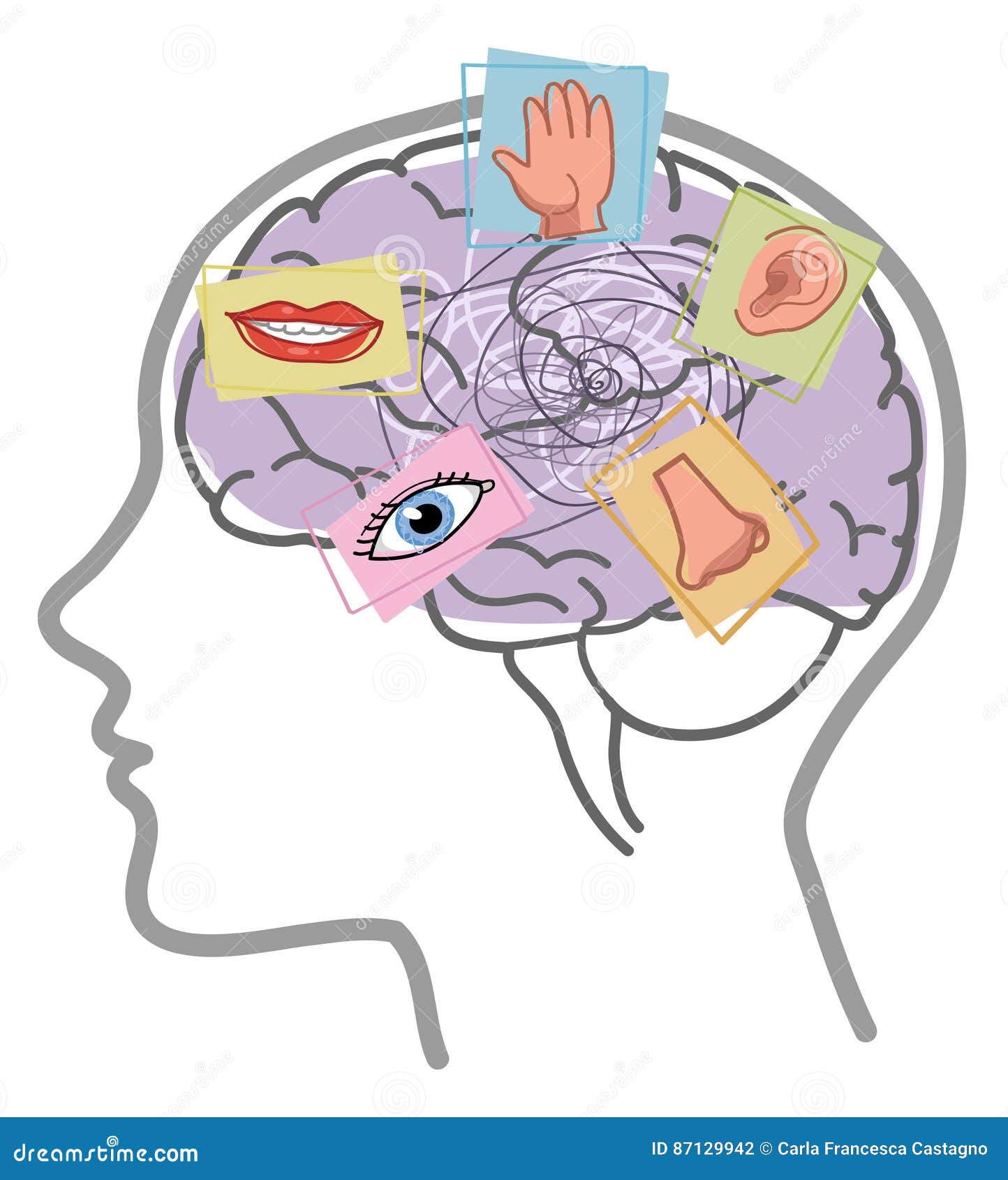 Brain 5 Senses Mind Disorder Stock Vector - Illustration of five ...