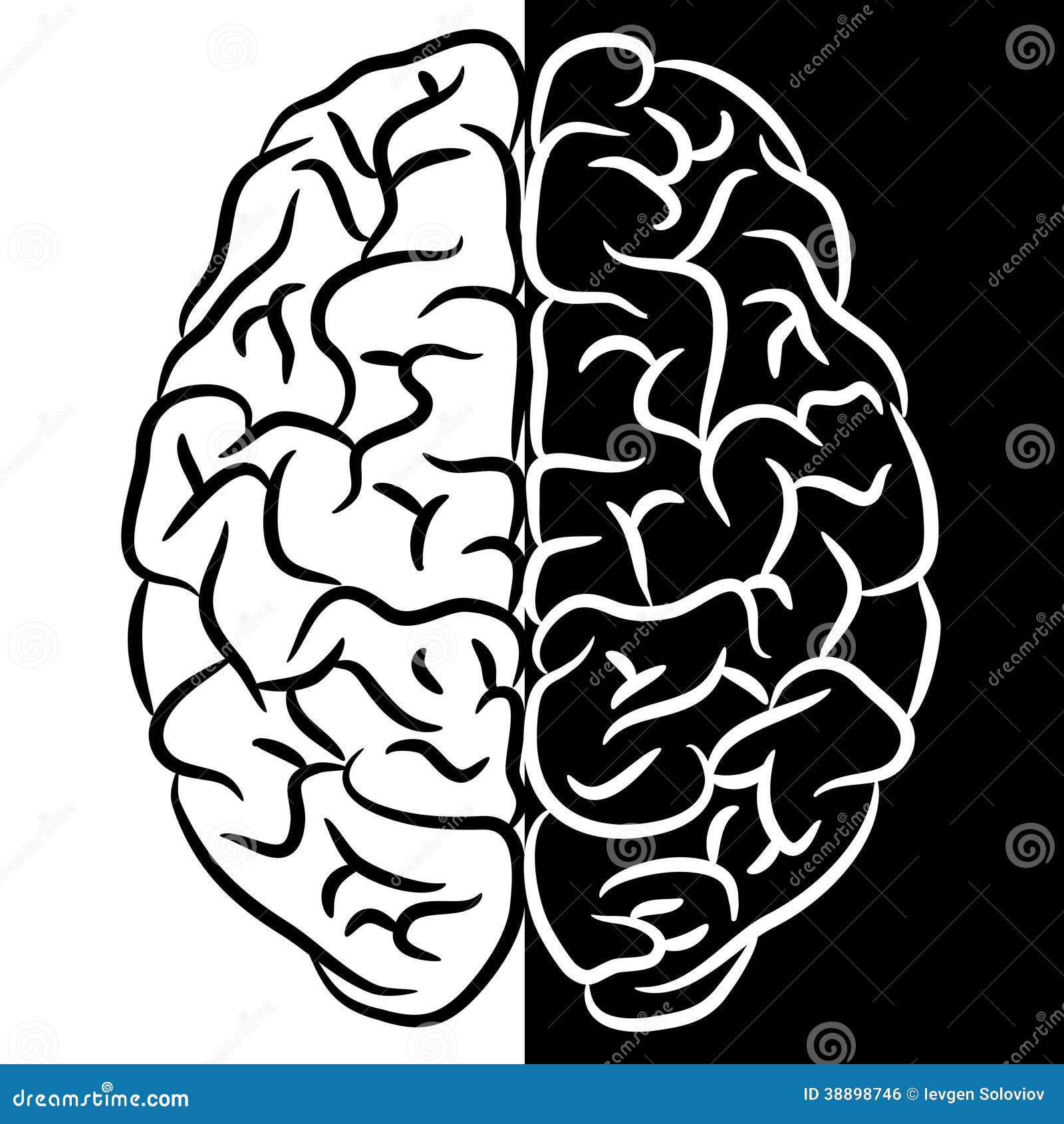 Brain shape stock vector. Illustration of human, biology - 38898746