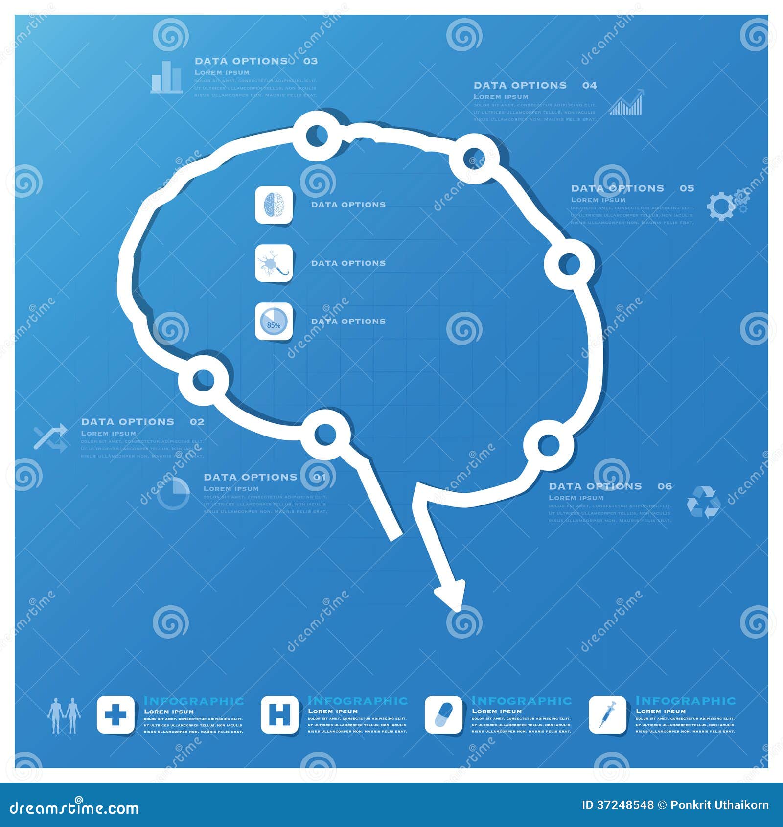 Brain Shape Education And Graduation Connection Timeline Infographic ...