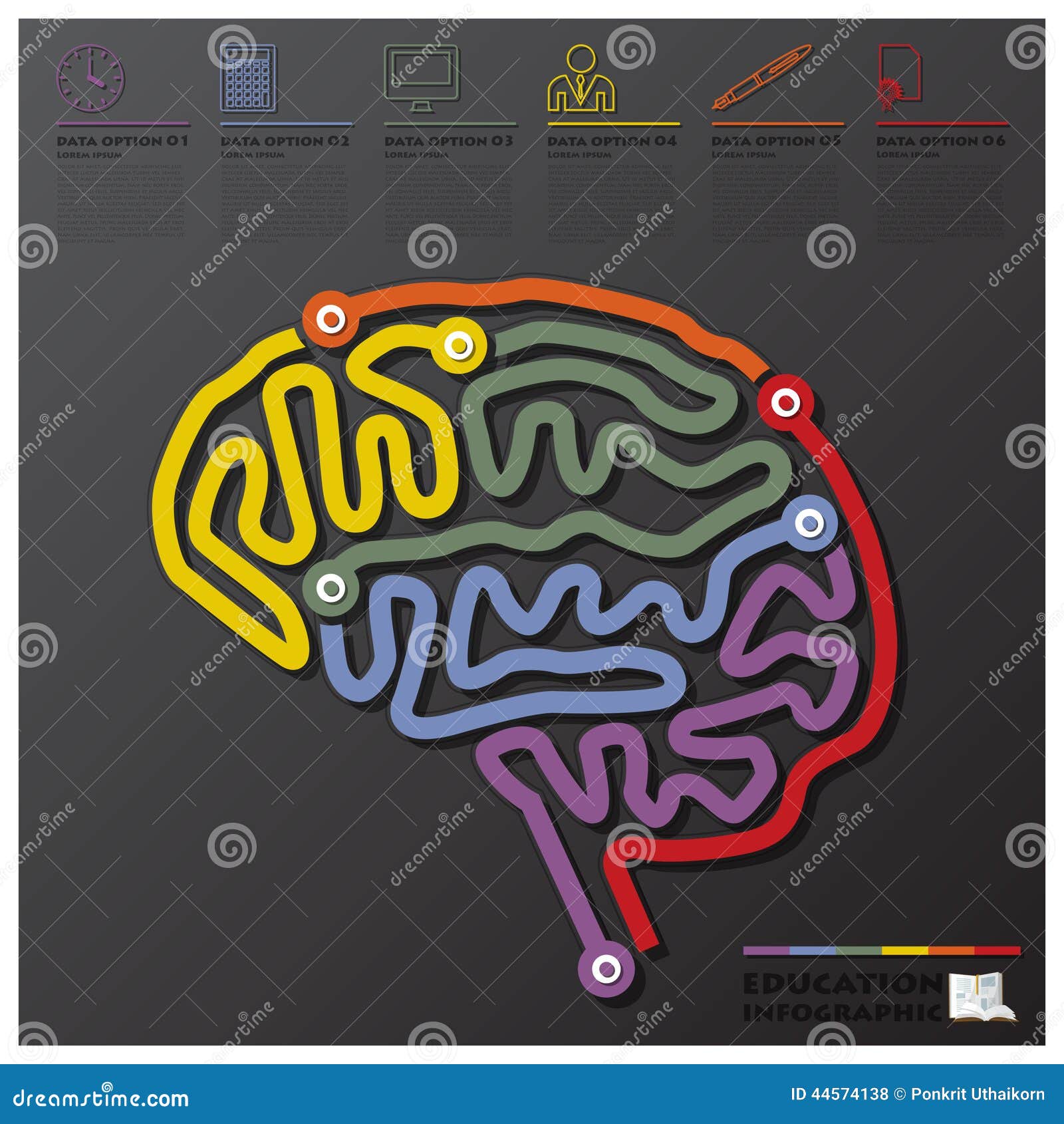 Brain Shape Education And Graduation Connection Timeline Infographic ...