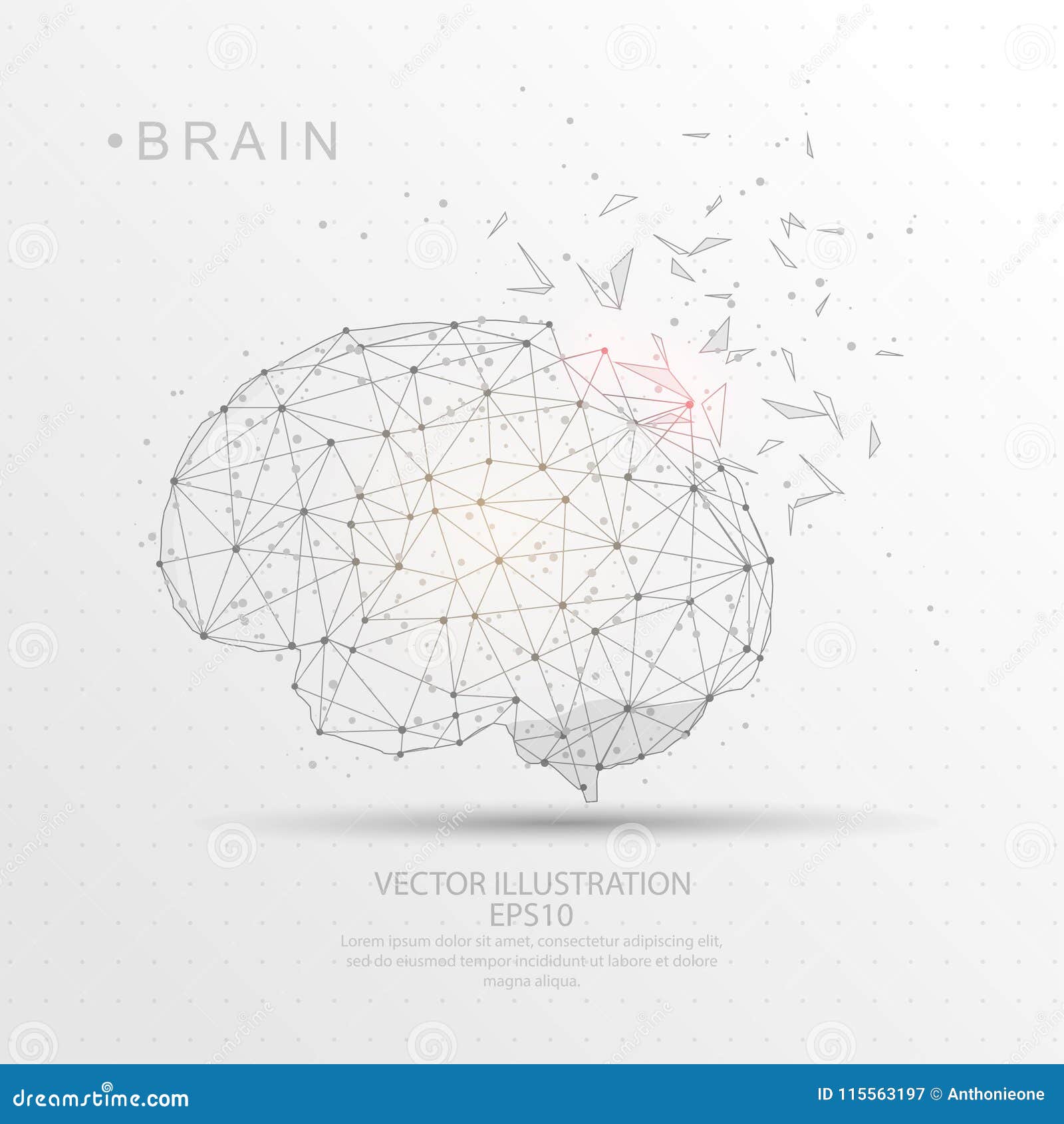 Brain Shape Digitally Drawn Low Poly Wire Frame. Stock Vector ...