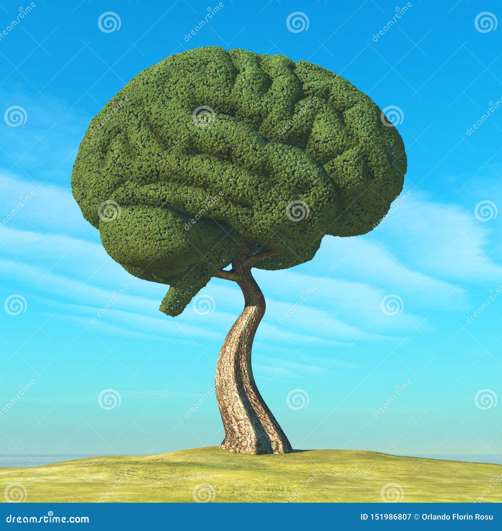 Brain shaped tree stock illustration. Illustration of intelligence ...