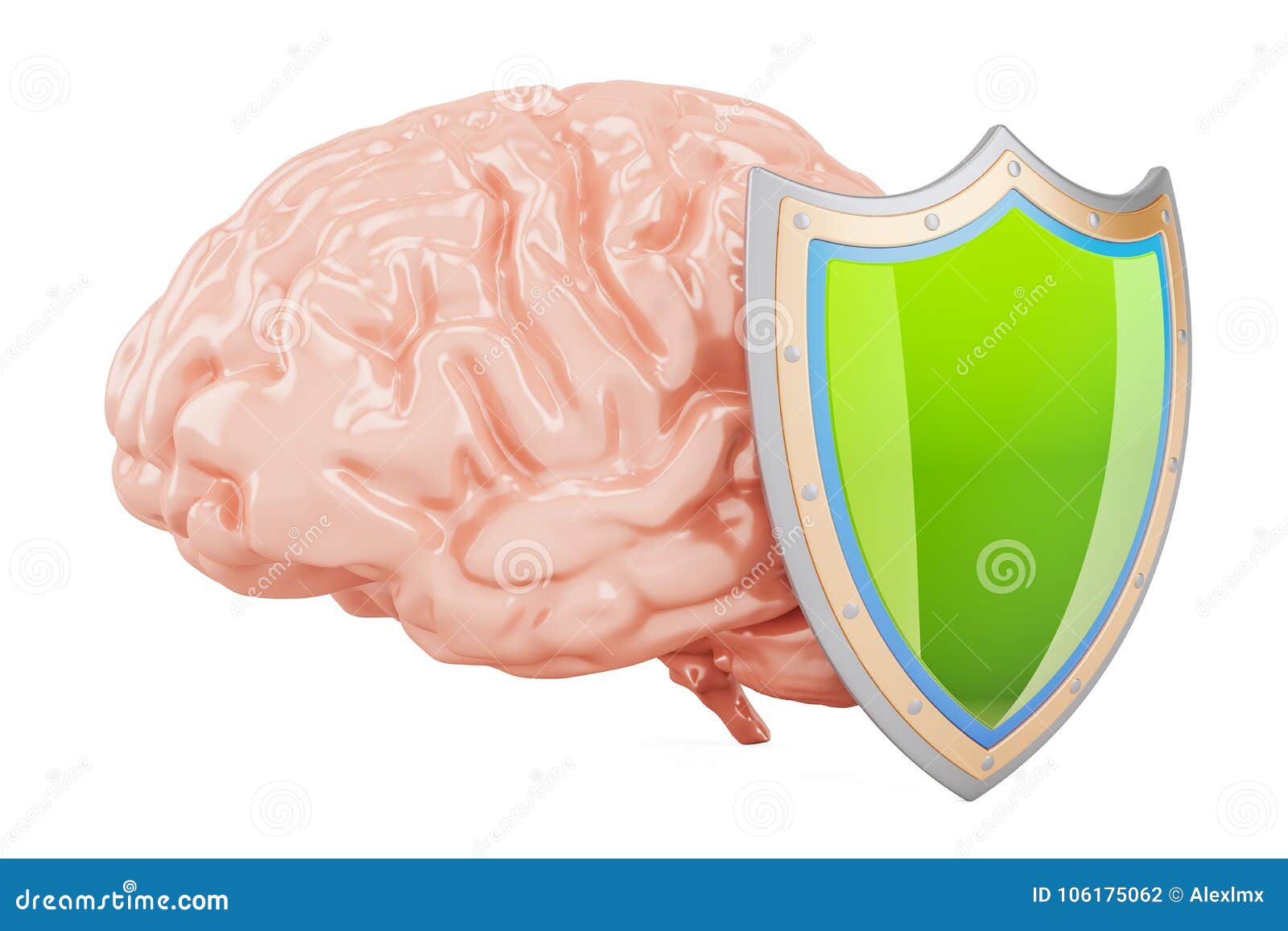 Brain with Shield, 3D Rendering Stock Illustration - Illustration of ...