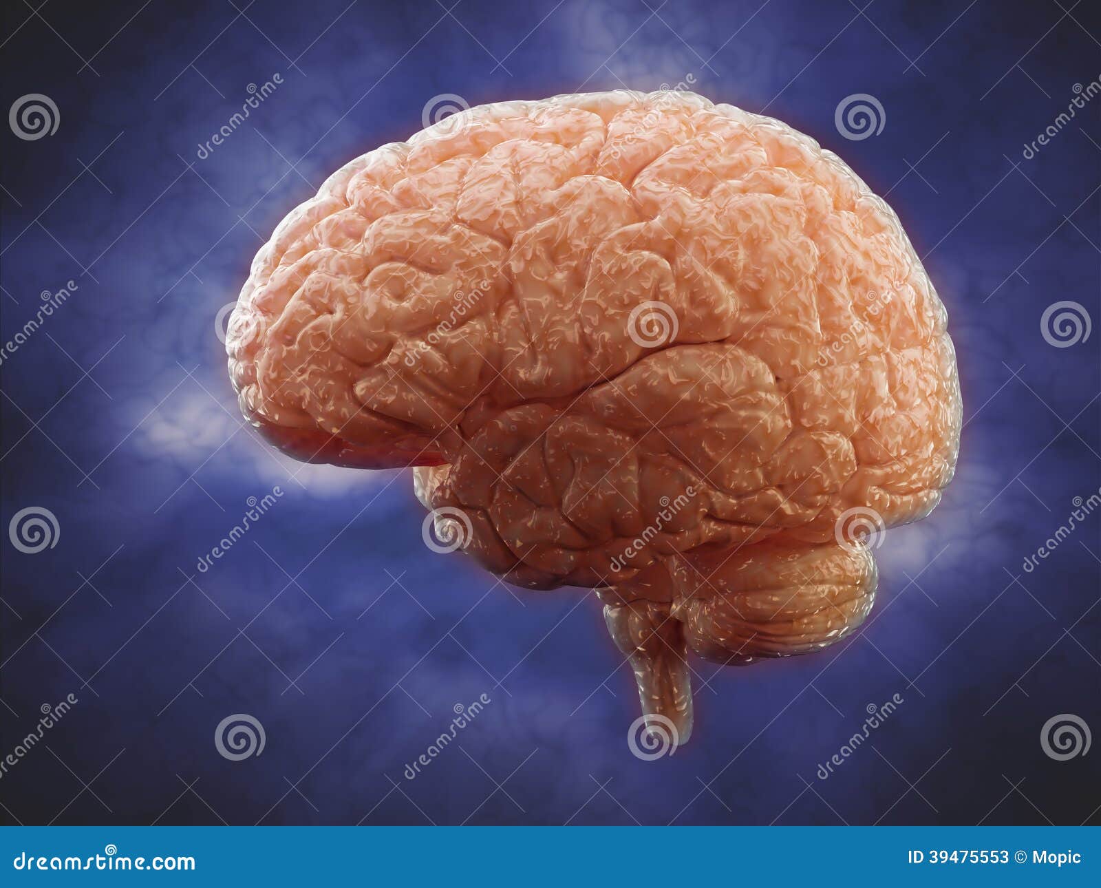 Brain side view stock illustration. Illustration of imagination - 39475553