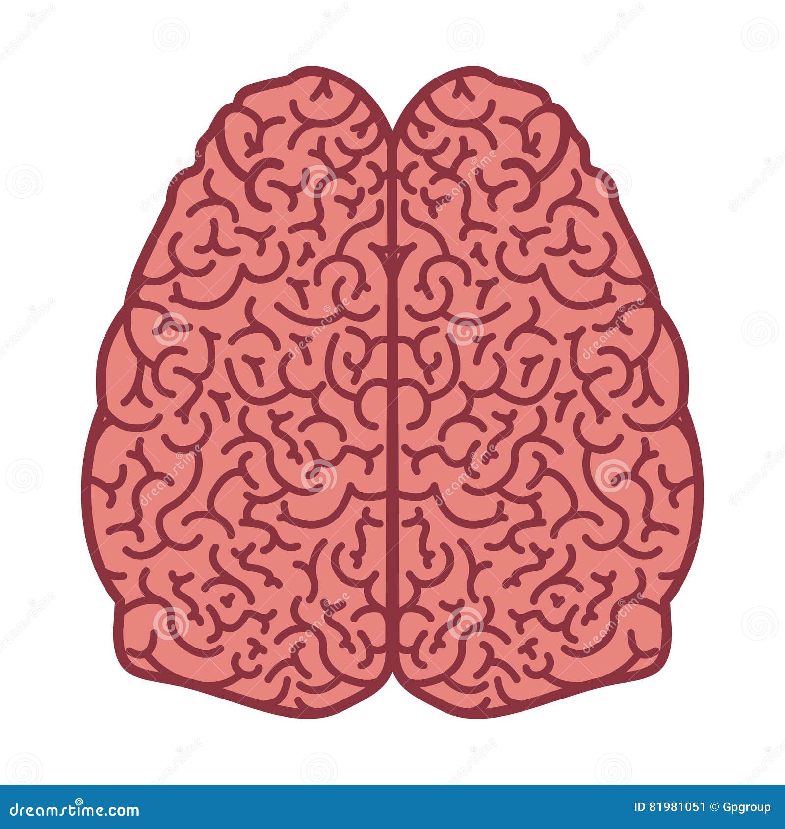 Brain Silhouette Color with Two Cerebral Hemispheres Stock Vector ...