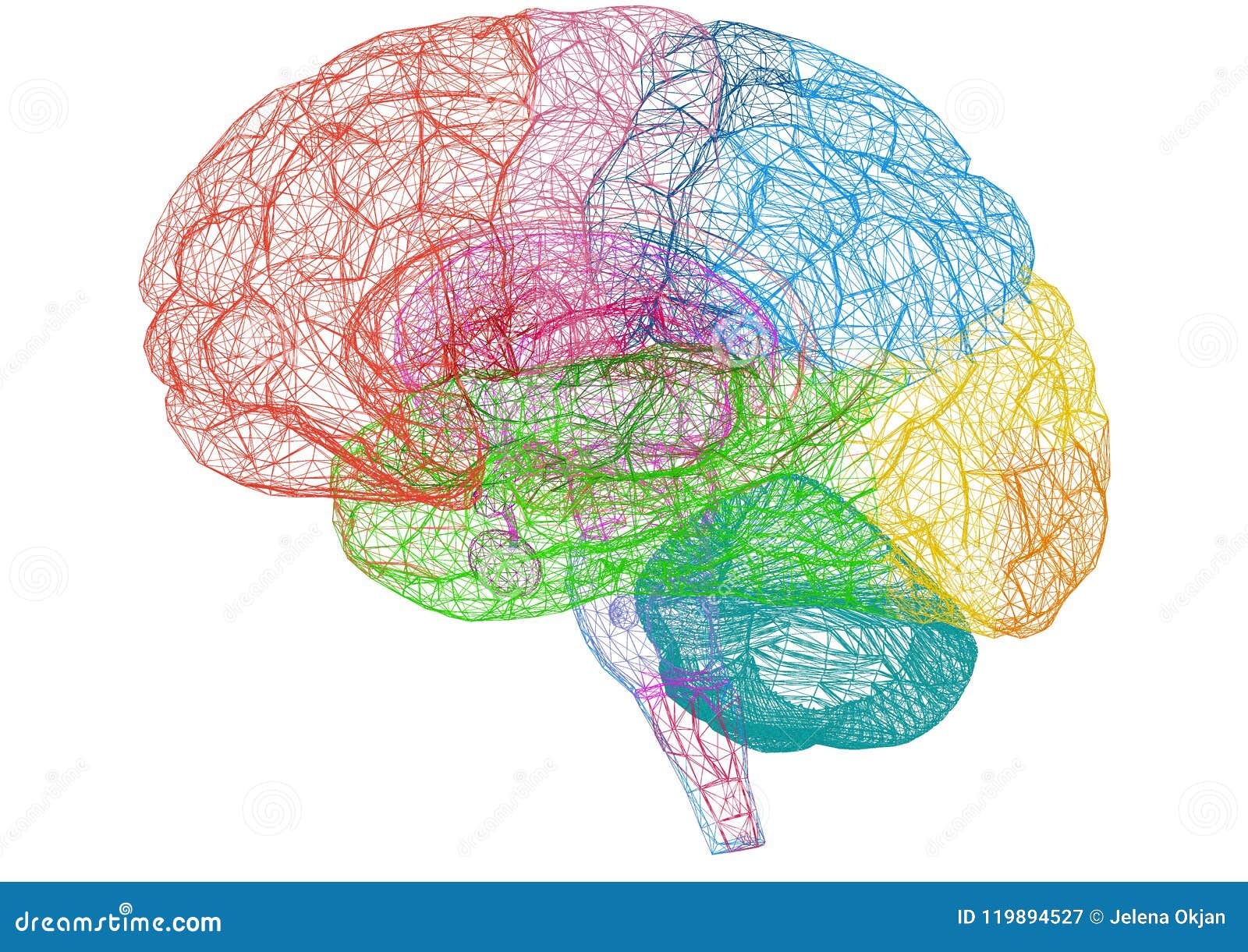 Brain Sketch â€“ Blueprint - Isolated Stock Illustration - Illustration ...