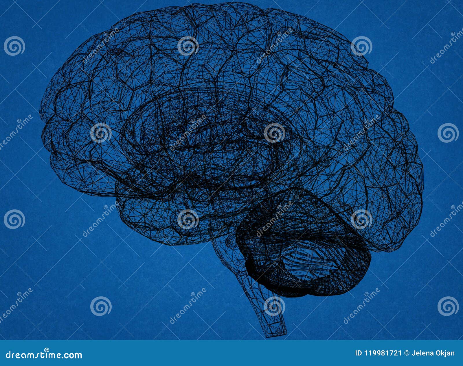 The Brain's Blueprint: Mapping Neuronal Connections Communication ...