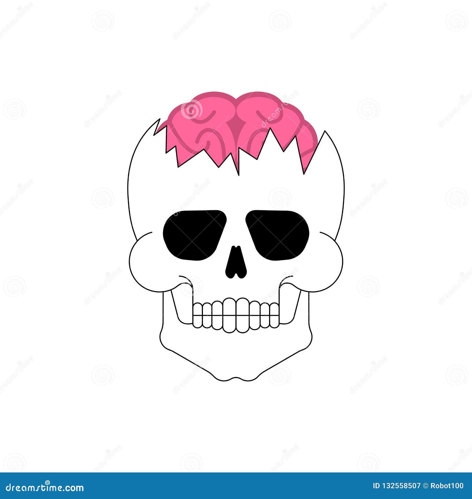 Brain And Skeleton, Human Anatomy. Royalty-Free Cartoon | CartoonDealer ...