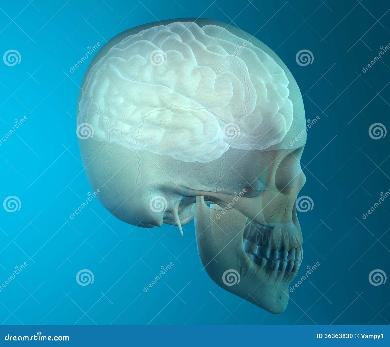 Brain In Skull Pixel Art. Human Internal Organs 8 Bit. Pixelate Cartoon ...