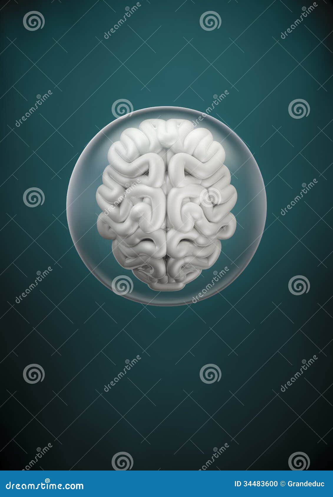 Brain sphere stock illustration. Illustration of think - 34483600