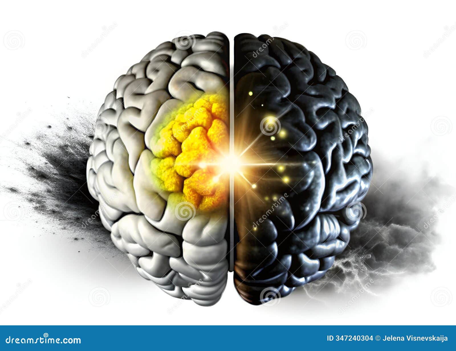 A Brain Split in Half, with One Half Yellow and the Other Black Stock ...