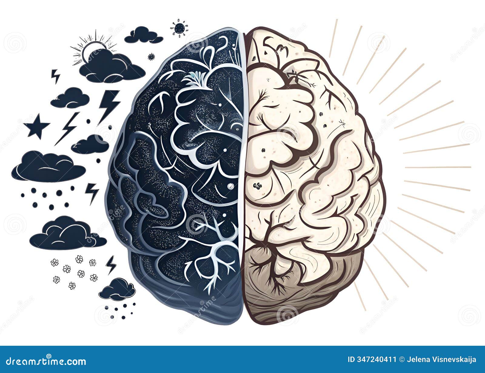 The Brain is Split into Two Halves, One of Which is Blue and the Other ...