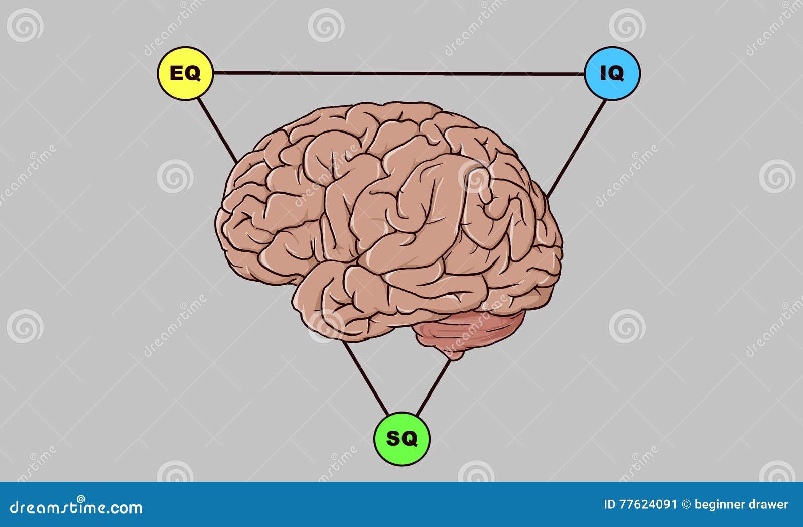 Brain stock illustration. Illustration of background - 77624091