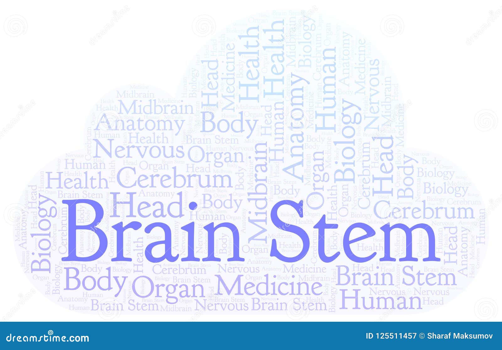 Brain Stem word cloud. stock illustration. Illustration of colors ...