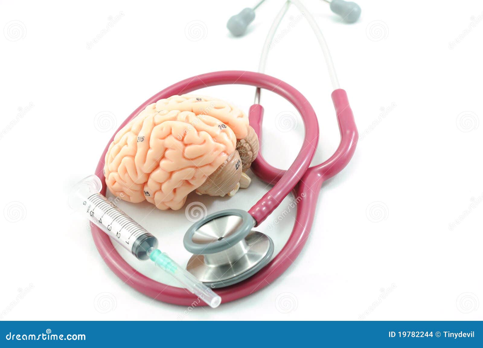 Brain and stethoscope stock photo. Image of brain, anatomical - 19782244