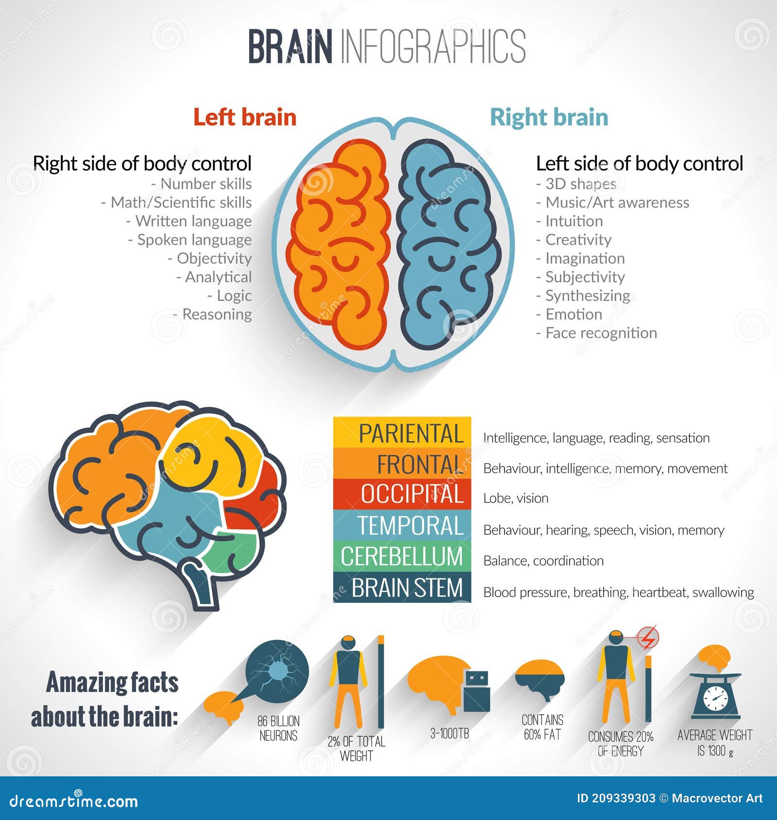 Brain Inforgaphics Set stock vector. Illustration of emotion - 209339303