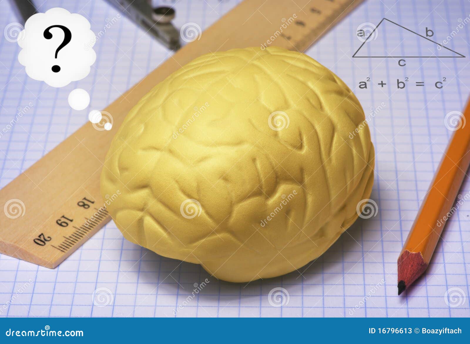 Brain studies stock illustration. Illustration of teach - 16796613