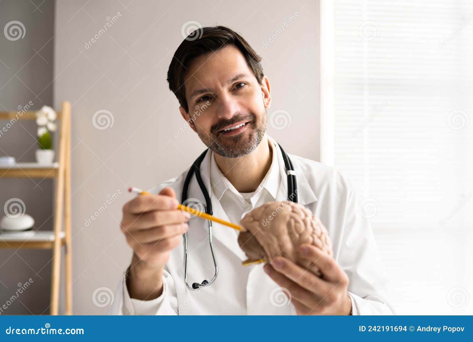 Brain Surgeon or Neurologist Doctor Explaining Stock Photo - Image of ...