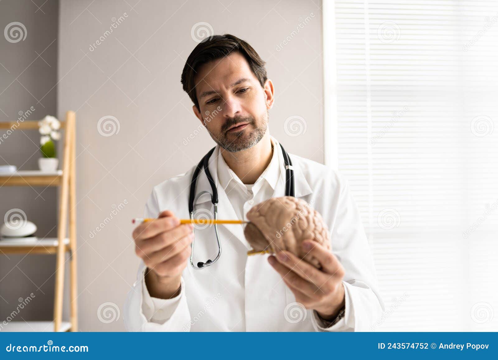 Neurologist And Surgeon Examine A Patient`s Spine Image Stock Photo ...