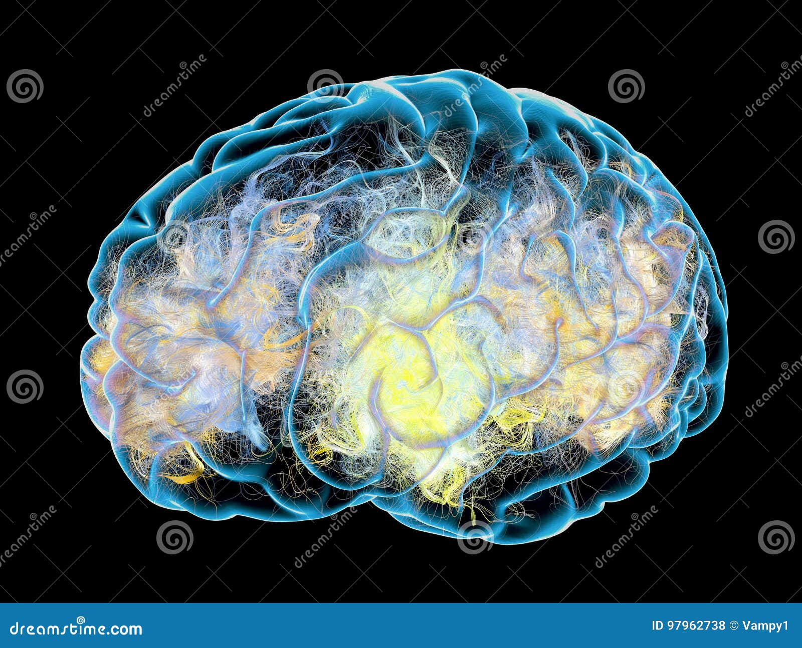 Synapse Connections. Structure That Permits A Neuron Or Nerve Cell To ... Synapse Connections. Structure That Permits A Neuron Or Nerve Cell To ...