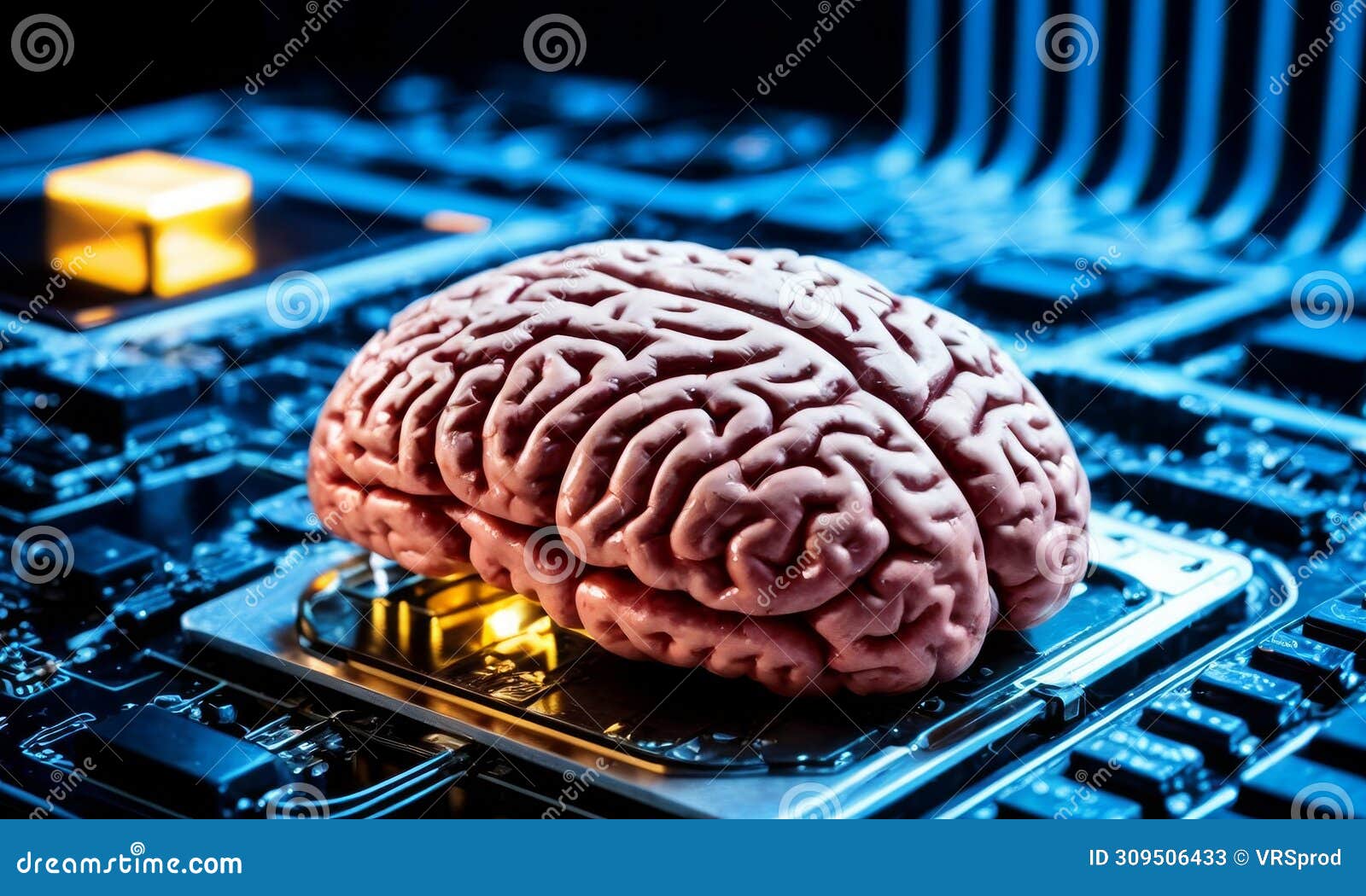 Brain on Tech Processor stock image. Image of technology - 309506433