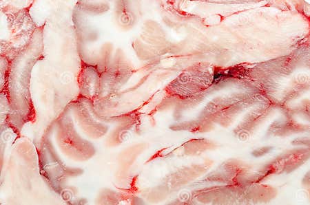 Brain Texture stock photo. Image of cerebrum, closeup - 29121112
