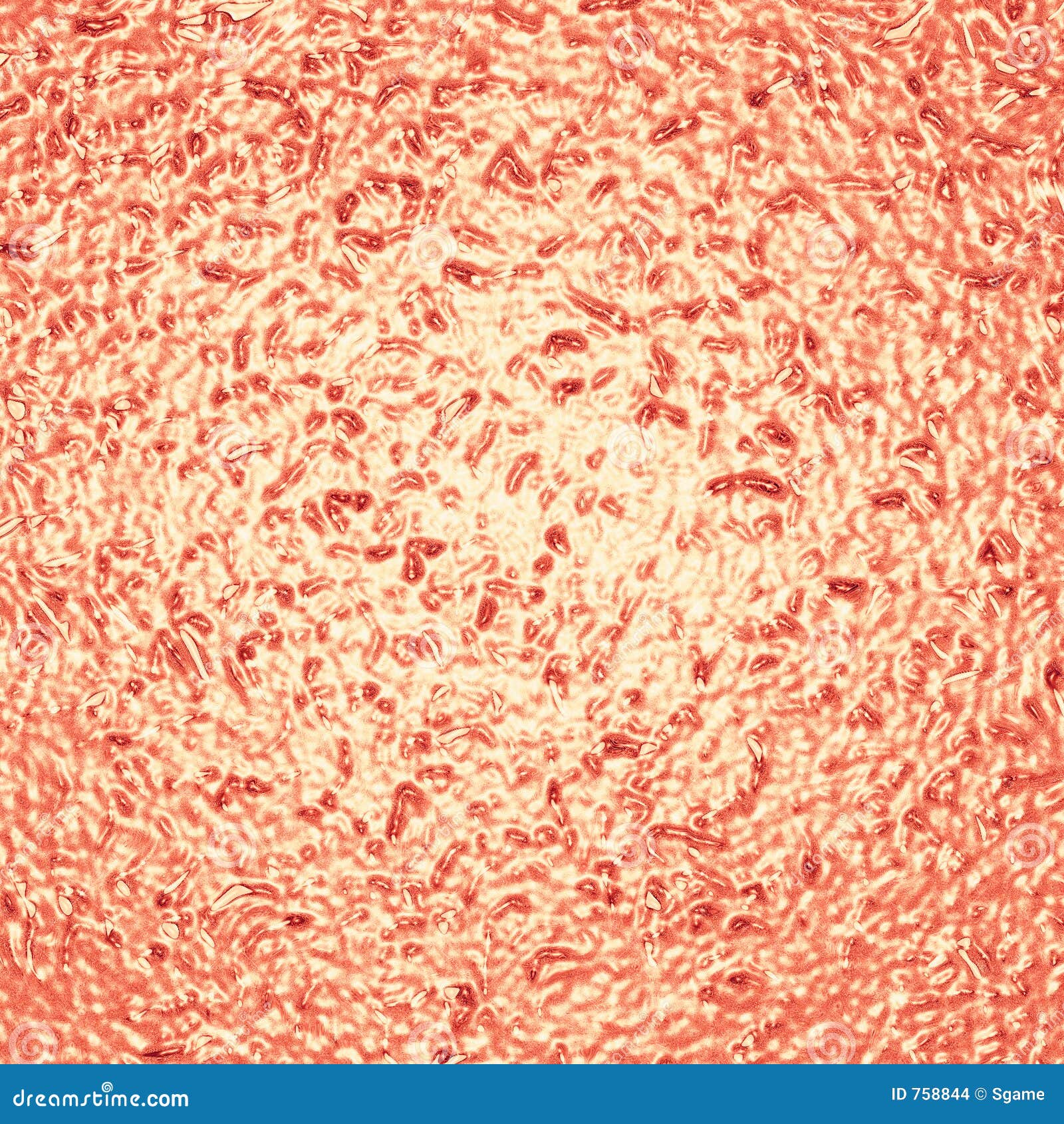 Brain texture stock photo. Image of brain, microscope, microscopy - 758844