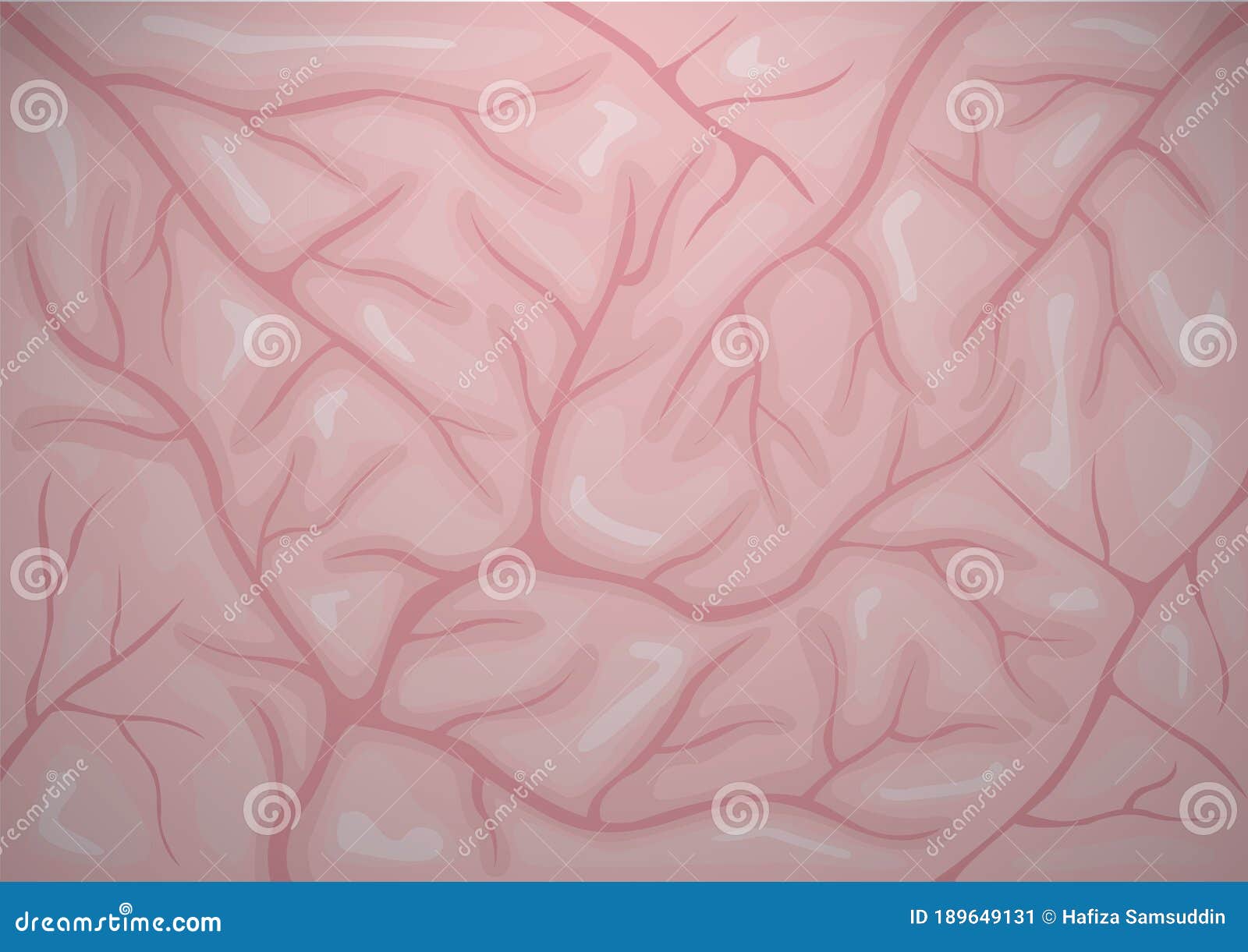 Brain Texture Background. Vector Illustration Decorative Design Stock ...