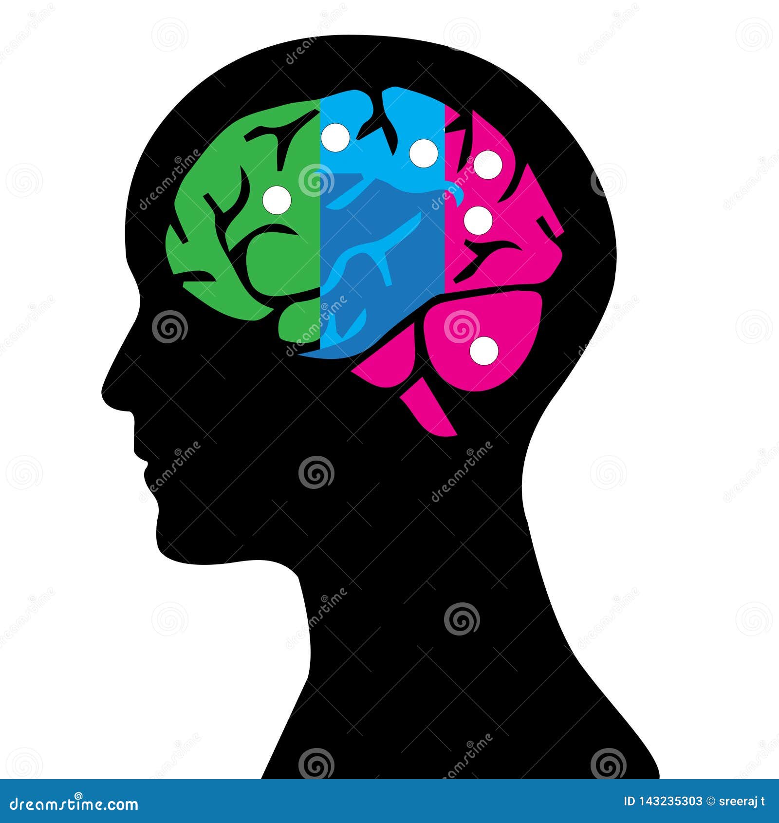 Brain Thinking Vector Info Graphic Stock Vector - Illustration of ...