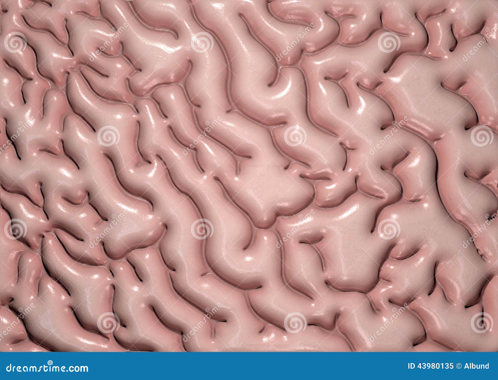 Lobotomy Of A Brain, Red Fake Human Brain. Royalty-Free Stock Photo ...