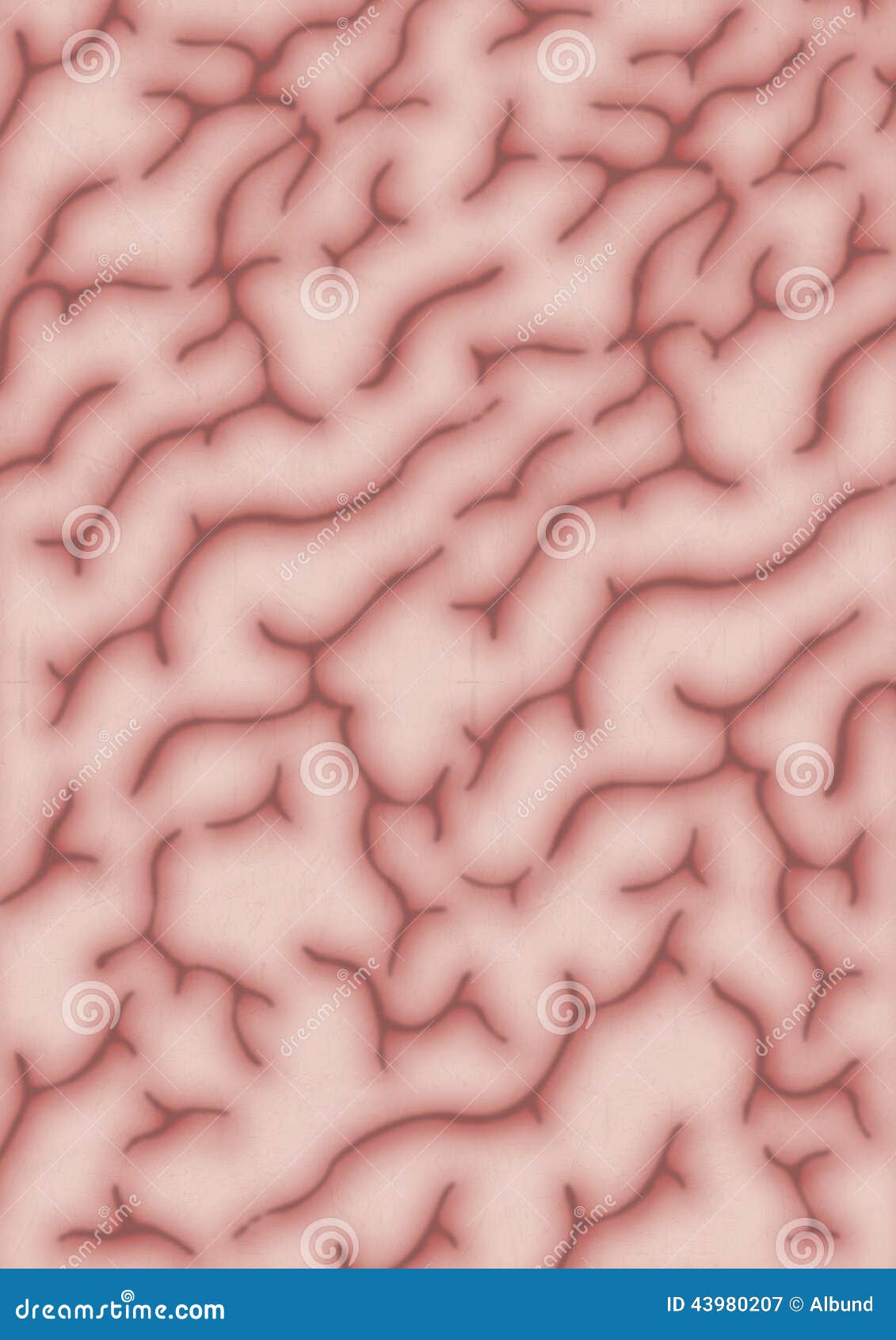 Brain Tissue stock image. Image of neurology, medical - 43980207
