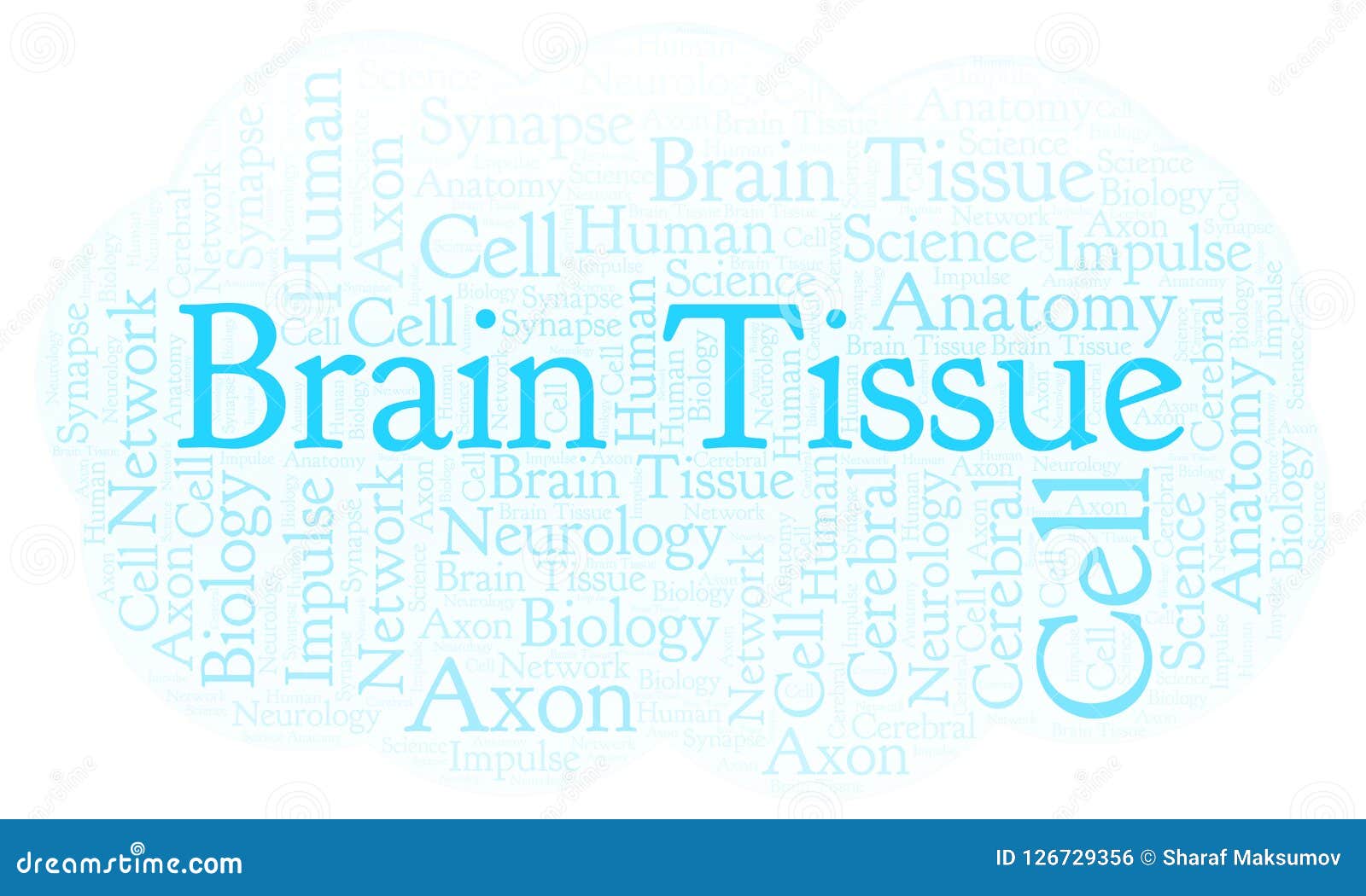 Brain Tissue word cloud. stock illustration. Illustration of poster ...