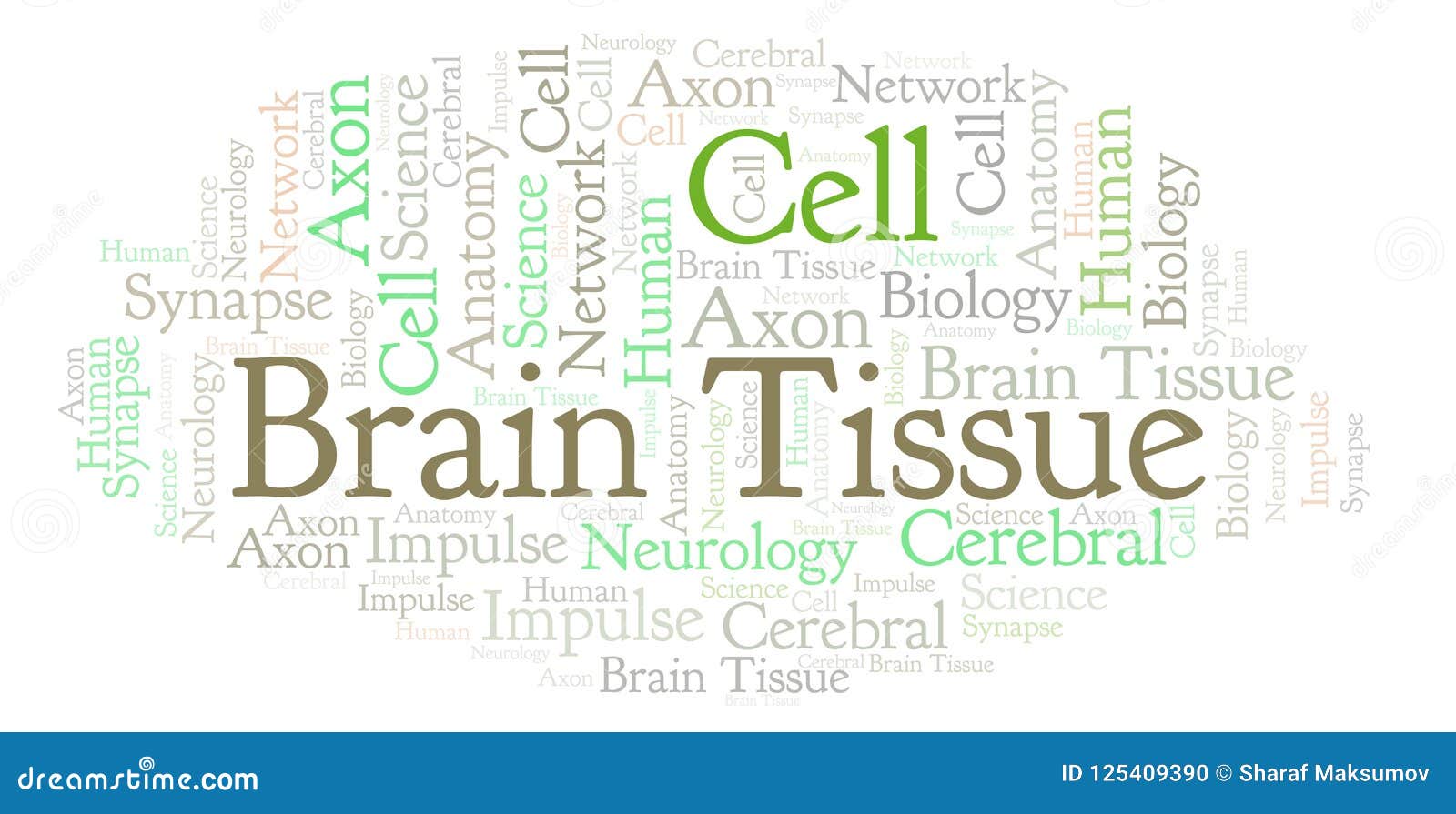 Brain Tissue word cloud. stock illustration. Illustration of cerebral ...
