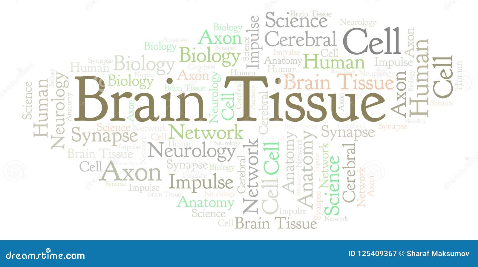 Brain Tissue word cloud. stock illustration. Illustration of print ...