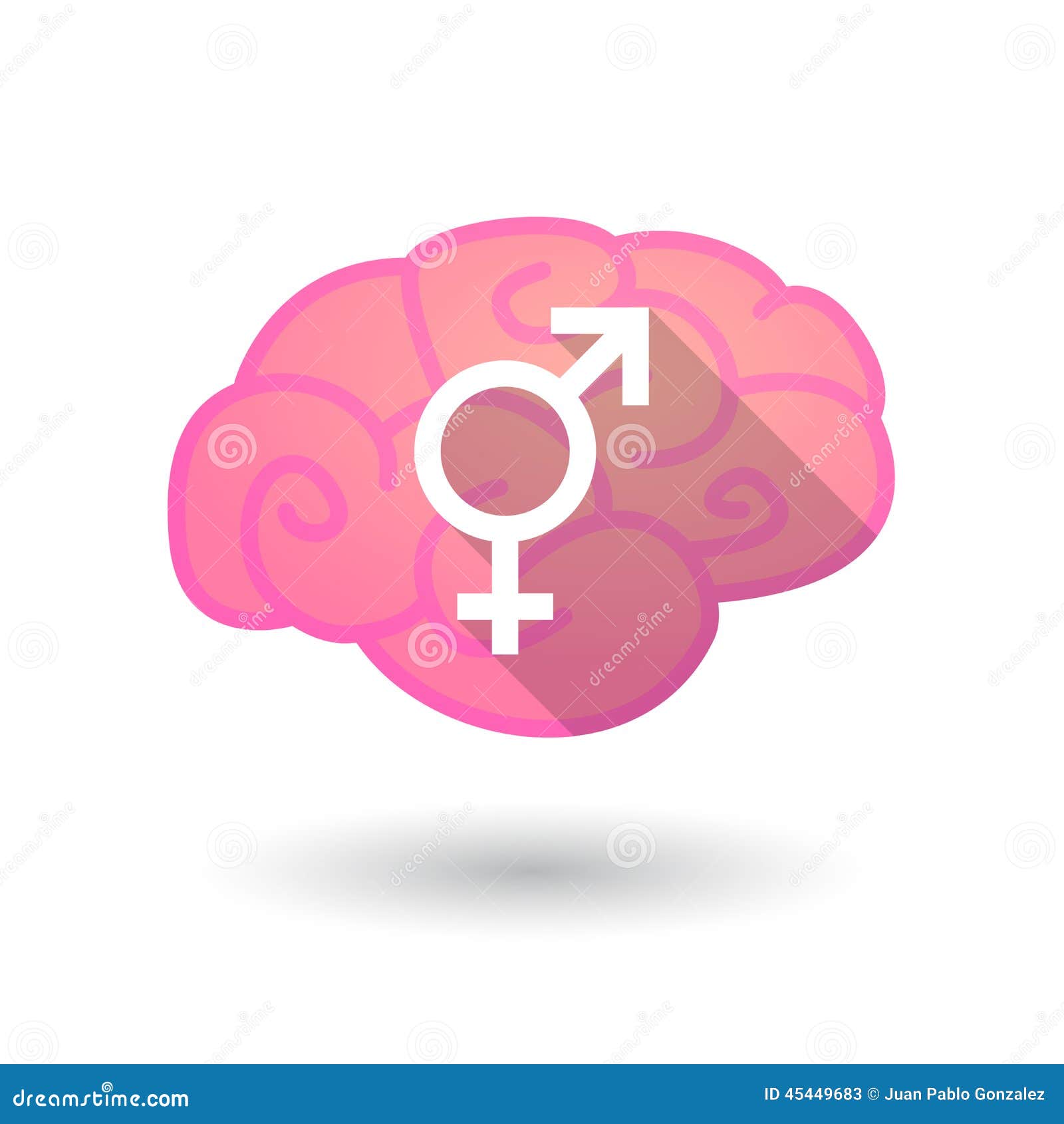 Brain with a Transgender Sign Stock Illustration - Illustration of ...