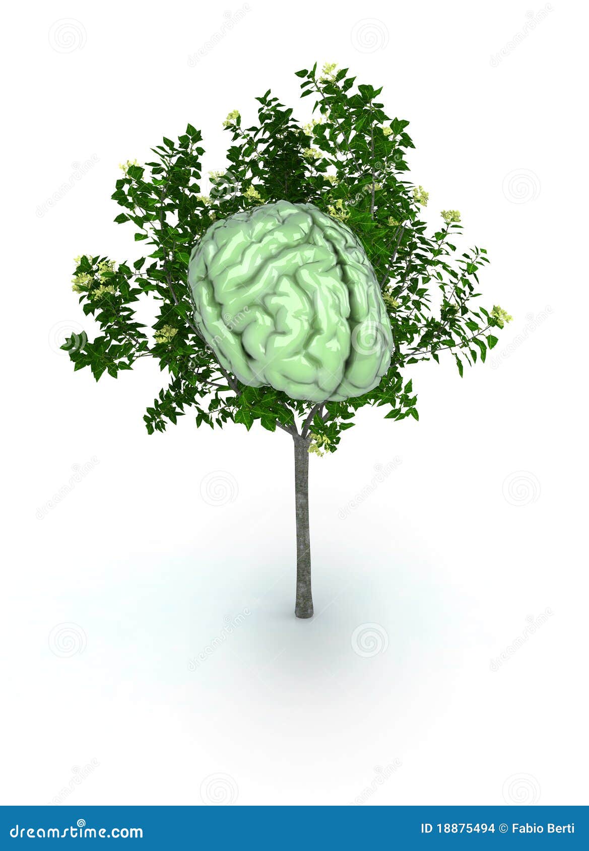 Brain tree stock illustration. Illustration of growth - 18875494