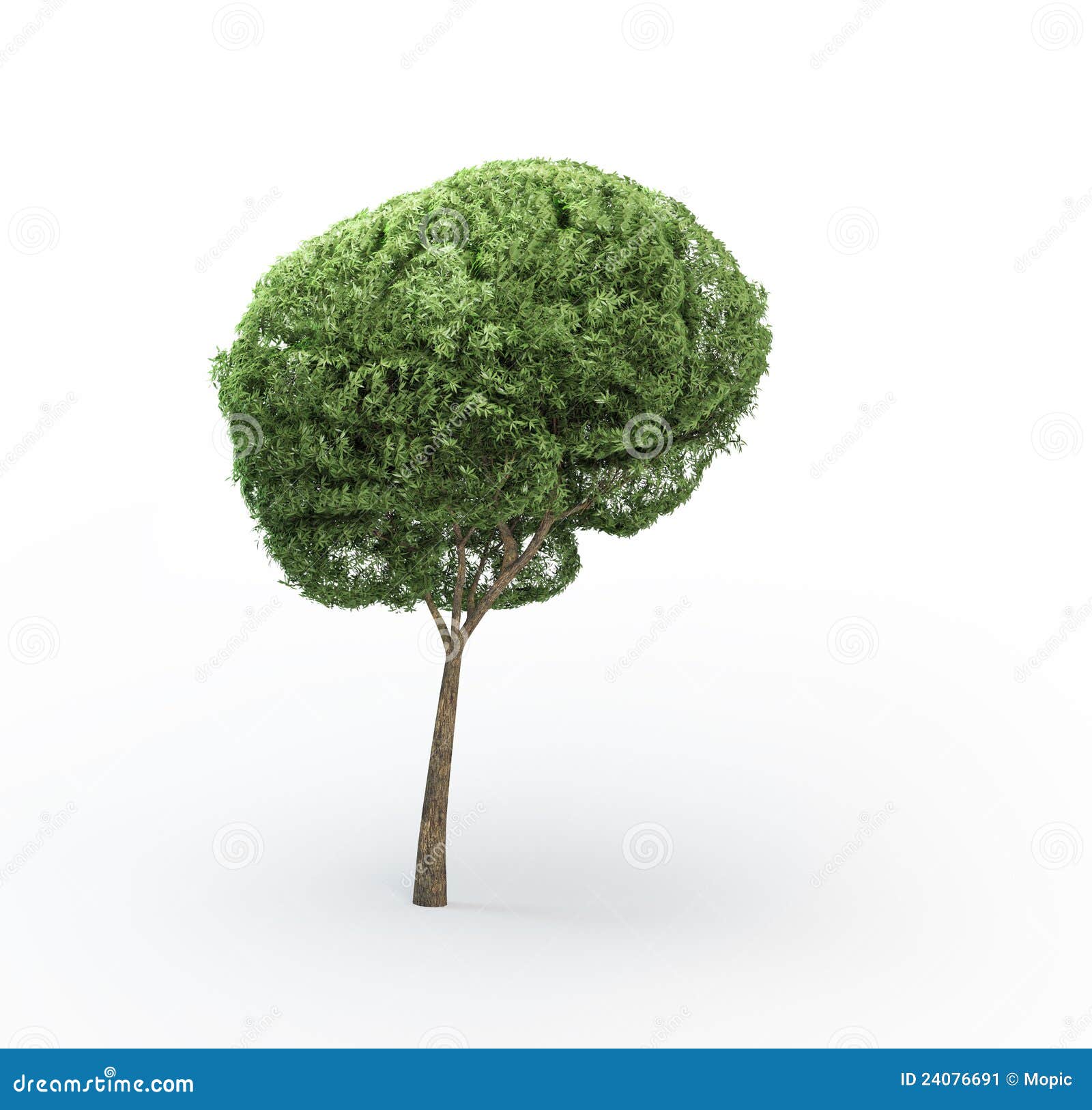 Brain tree stock image. Image of clever, design, idea - 24076691