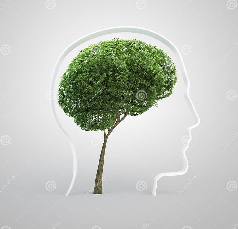 Brain tree - human head stock image. Image of education - 24076423