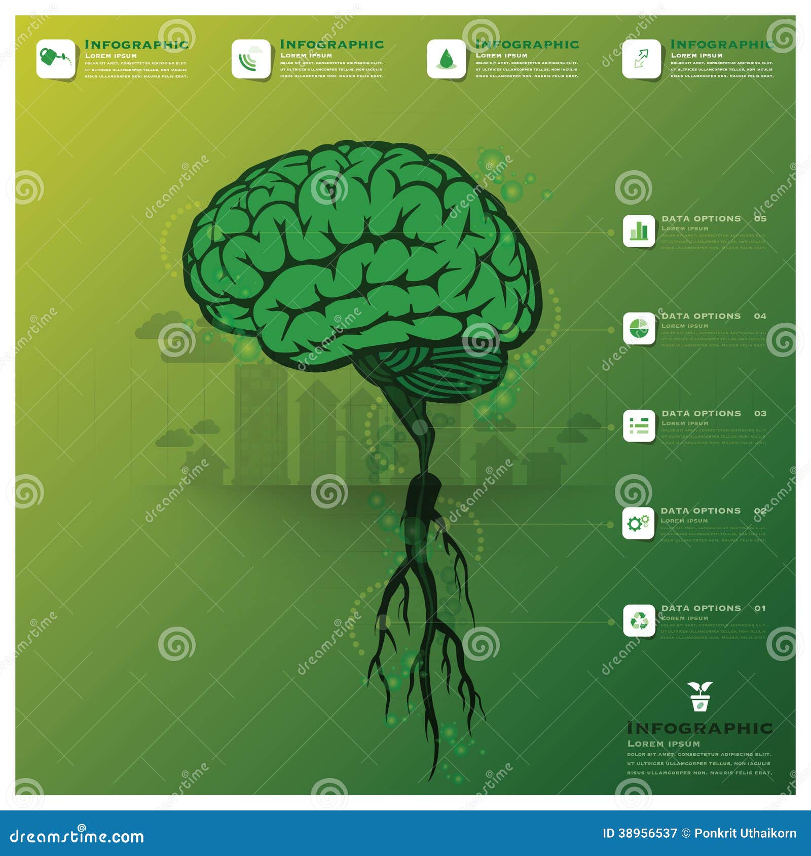 Brain Tree and Root Infographic Vector Illustratie - Illustration of ...