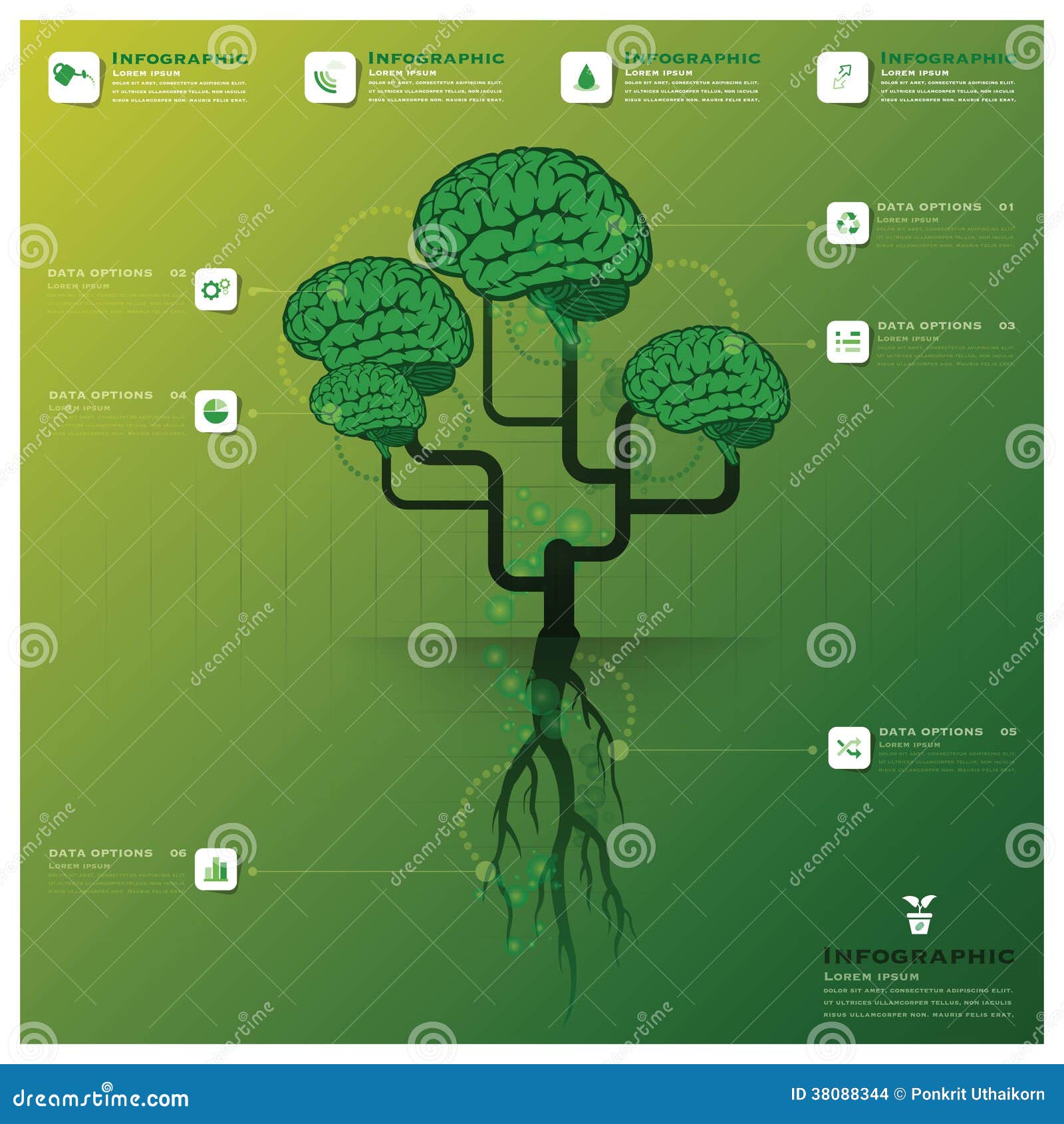 Brain Tree and Root Infographic Designmall Vektor Illustrationer ...