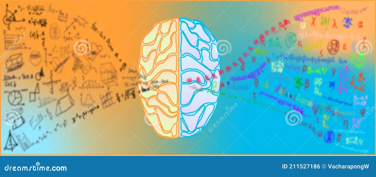 Brain Two Side of Logic Math and Art Compare Difference Stock ...