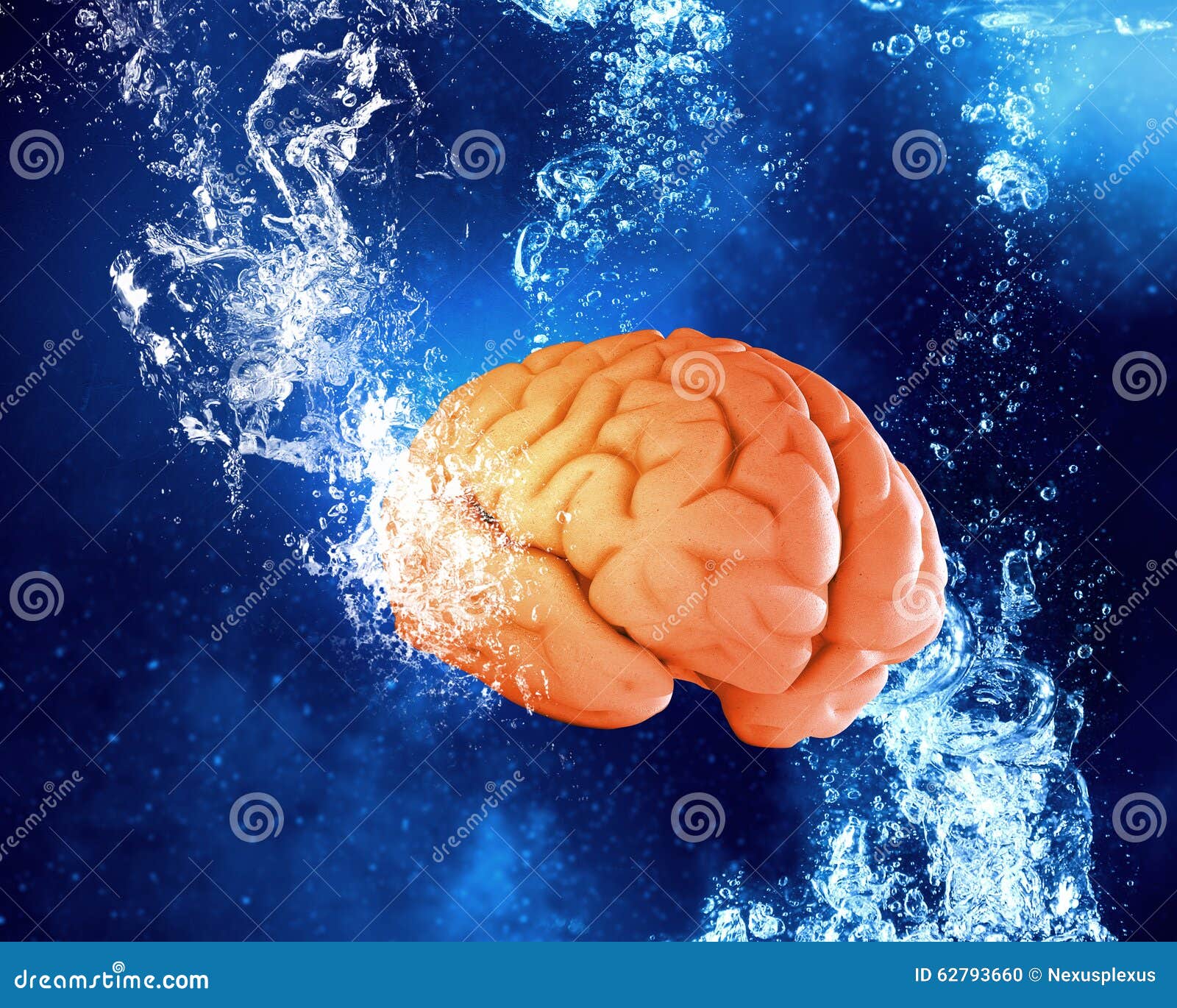 Brain under water stock photo. Image of knowledge, idea - 62793660