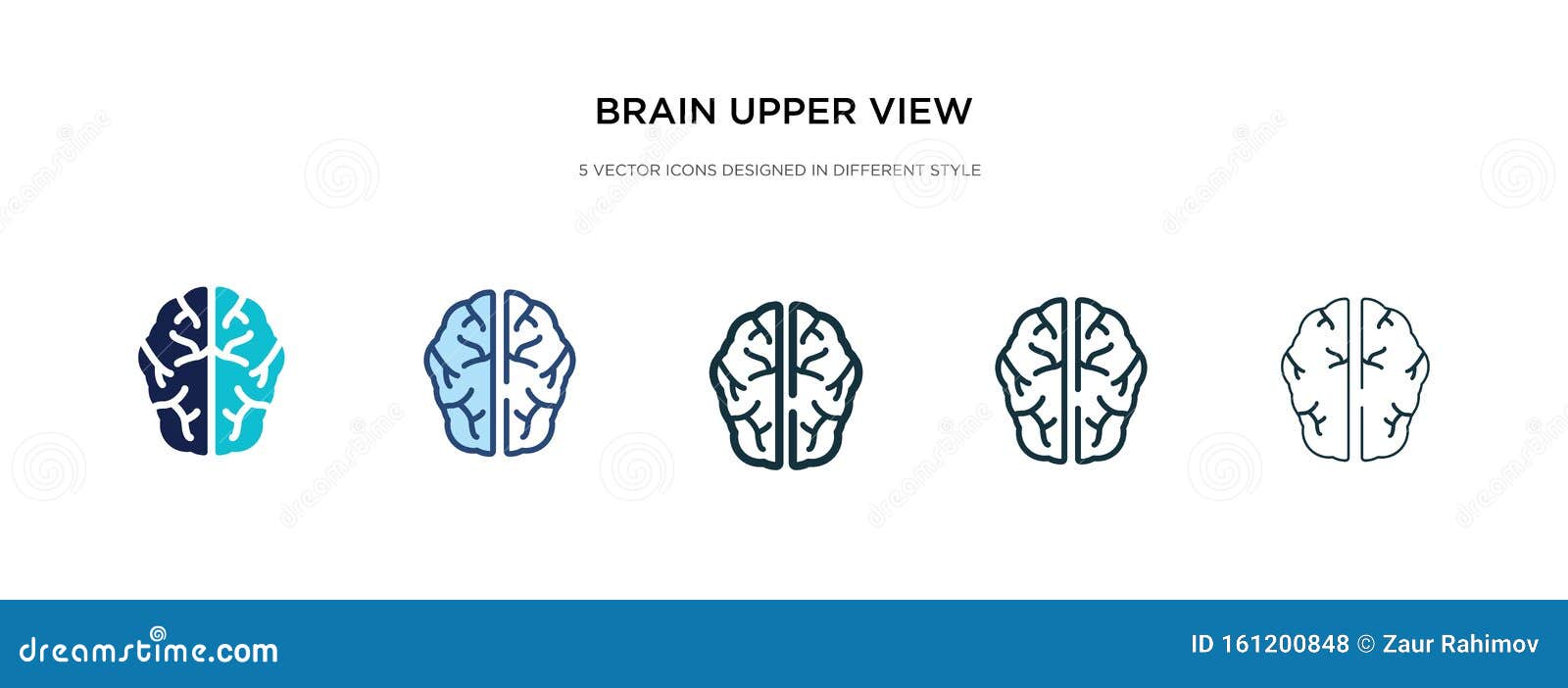 Brain Upper View Icon in Different Style Vector Illustration. Two ...