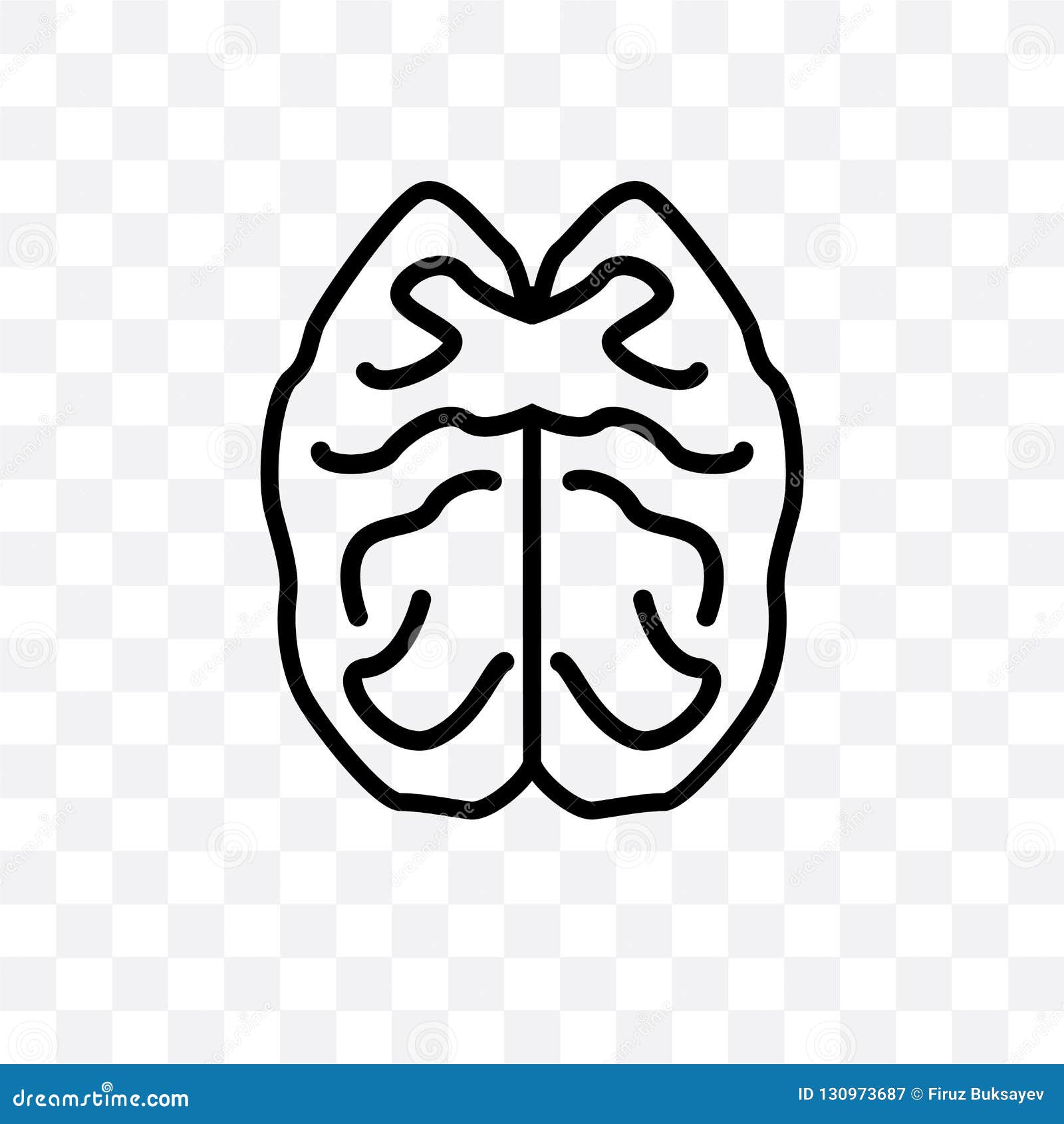 Brain Upper View Vector Linear Icon Isolated On Transparent Background ...