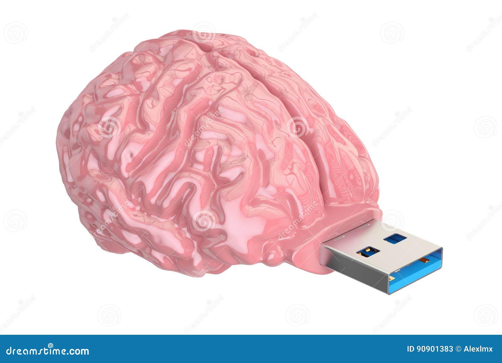 Brain USB Flash Drive, Knowledge Concept. 3D Illustration Stock ...
