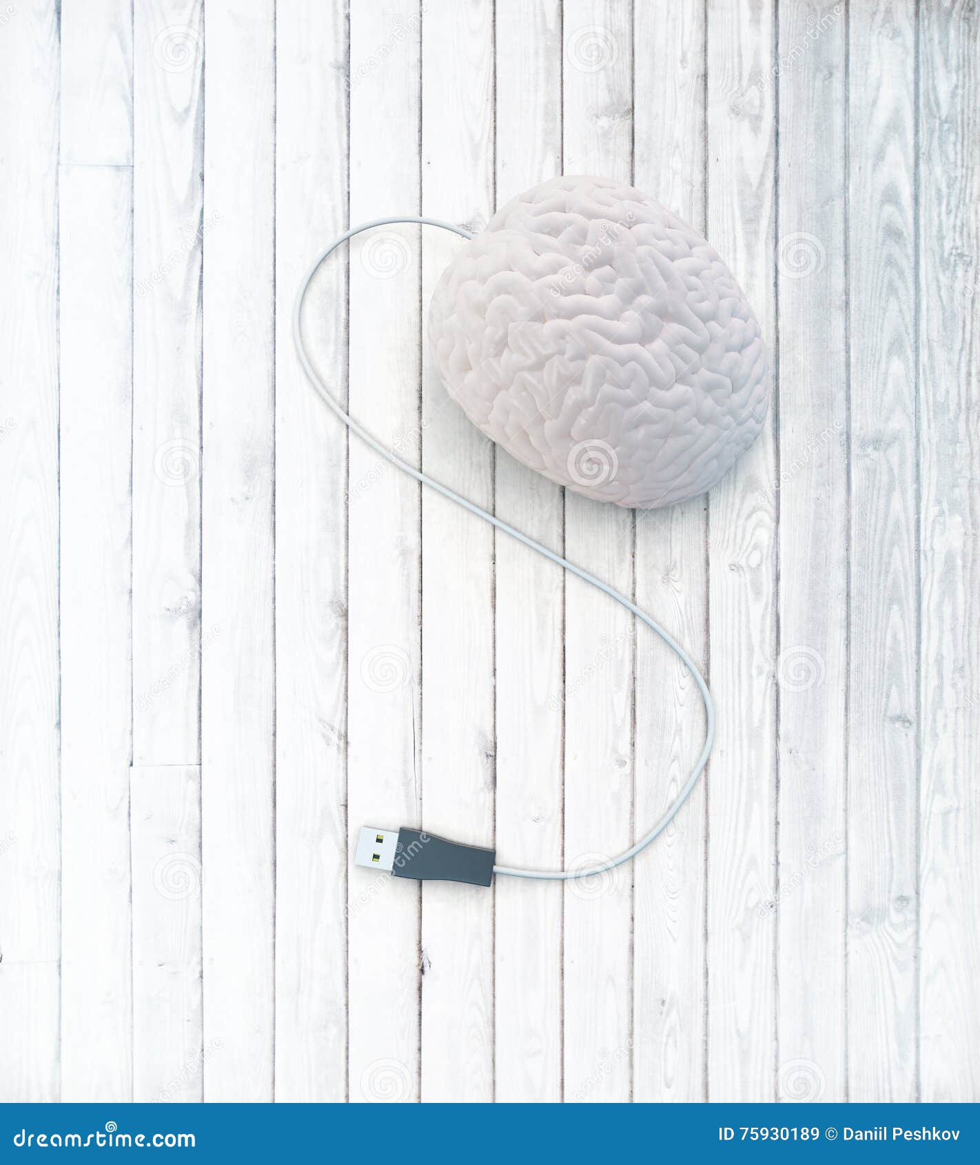 Brain usb plug stock illustration. Illustration of information - 75930189