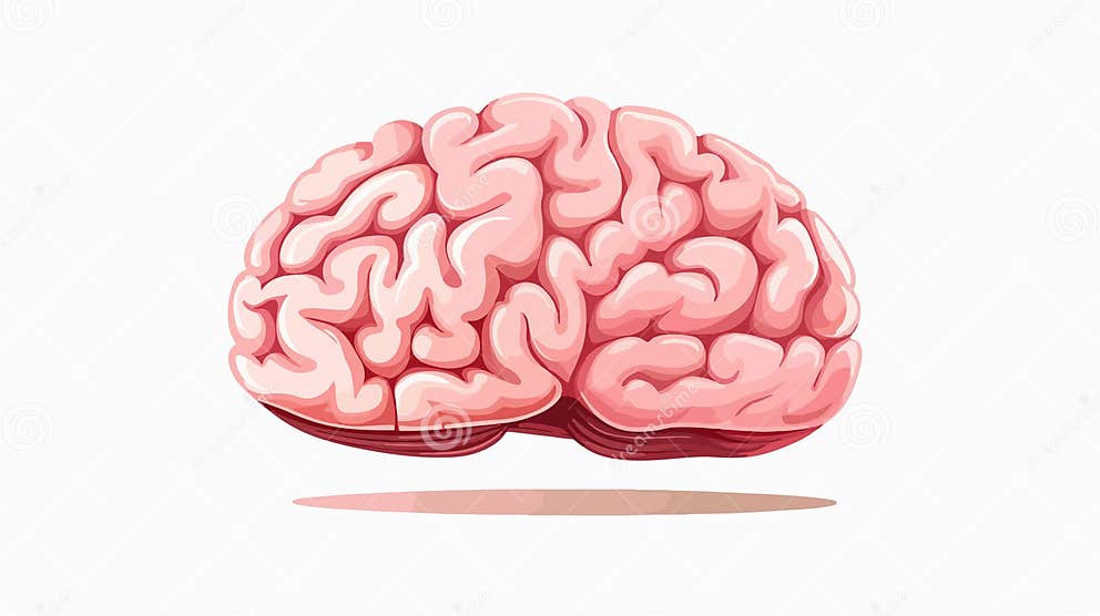 Brain Drawing stock vector. Illustration of symbol, neuroscience ...